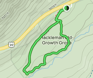 Hackleman Creek Old-Growth Trail: 38 Reviews, Map - Oregon | AllTrails