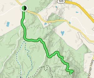 Currahee Mountain Trail, 370 Photos - Georgia | AllTrails