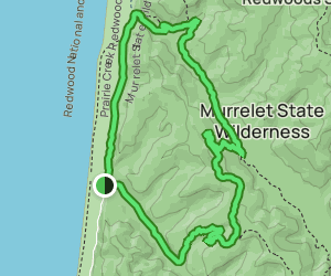 Miner's Ridge Trail, Clintonia Trail, and Gold Bluffs Beach Loop: 286 ...