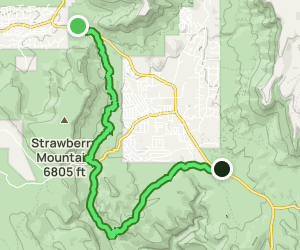 Pine Strawberry Trail: 142 Reviews, Map - Arizona | AllTrails