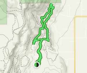 Mount Emily Recreation Area Loop: 148 Reviews, Map - Oregon | AllTrails