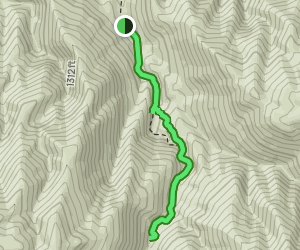 Grotto Canyon: 65 Reviews, Map - California | AllTrails