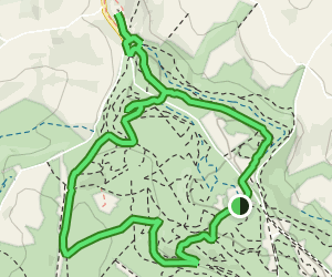 Haldon Forest Park Circular: 105 foto - Devon, Inghilterra | AllTrails