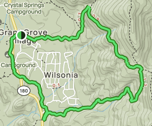 Manzanita and Azalea Trail: 73 Reviews, Map - California | AllTrails