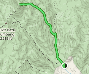 Bukit Chenuang Trail: 30 Reviews, Map - Selangor, Malaysia | AllTrails