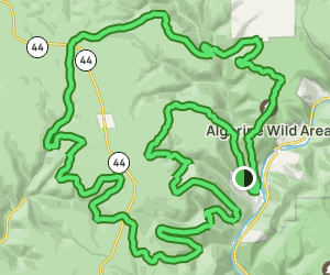 Black Forest Long Loop: 297 Reviews, Map - Pennsylvania | AllTrails