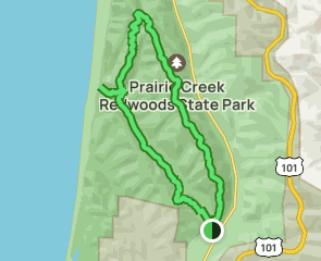 James Irvine, Fern Canyon, Friendship Ridge, and West Ridge Loop ...