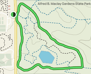 Ravine Trail at Maclay Gardens, Florida - 211 Reviews, Map | AllTrails