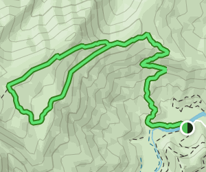 Higgins Bald via Black Mountain Camp: 90 Reviews, Map - North Carolina ...