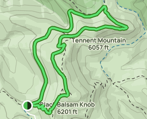 Ivestor Gap Trail, Tennent Mountain, and Black Balsam Knob Loop: 1,297 ...
