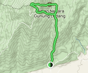 AllTrails | Gunung Ledang Loop: 49 Reviews, Map - Johor, Malaysia