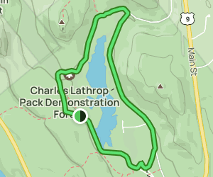 Pack Demonstration Forest Loop Trail: 90 Reviews, Map - New York ...