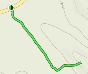 Pettigrew WMA Access Road | Map, Guide - Virginia | AllTrails