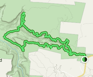 Savage Gulf North Rim to South Rim: 114 Reviews, Map - Tennessee ...