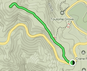 Crane Flat Lookout Trail: 53 Reviews, Map - California | AllTrails