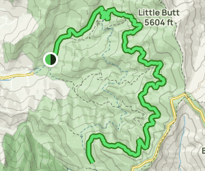Laurel Gap and Upper Corner Rock Trail: 2 Reviews, Map - North Carolina ...