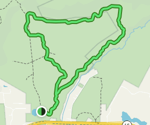 Lower Wekiva Loop via Florida Trail: 146 Reviews, Map - Florida | AllTrails