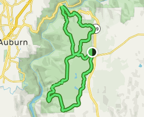 Training Hill Loop via Rim Trail and Olmstead Loop, California - 94 Reviews, Map | AllTrails