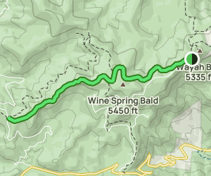 Wayah Bald to Sawmill Gap via Bartram Trail: 69 Reviews, Map - North ...