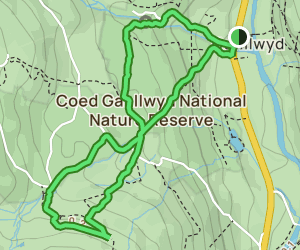 Rhaeadr Ddu (Black Falls) and Coed Ganllwyd Circular, 80 Photos ...