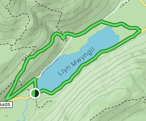 Tal-y-llyn Lake Circular: 22 Reviews, Map - Gwynedd, Wales | AllTrails