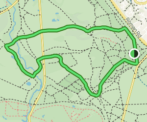 Dibden and King's Hat Inclosures, 26 Fotos - Hampshire, England | AllTrails