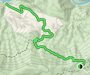 Lost Cove Trail: 175 Reviews, Map - North Carolina | AllTrails