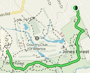 Jones Forest Trail, Massachusetts - 97 Reviews, Map | AllTrails