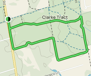 Clarke Tract (South Loop): 89 foto's - Ontario, Canada | AllTrails