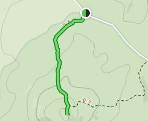 Tooley Pond Mountain Trail: 1 Reviews, Map - New York | AllTrails