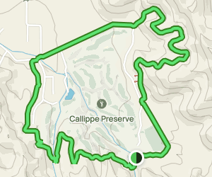 Callippe Preserve Trail Loop: 87 Reviews, Map - California | AllTrails