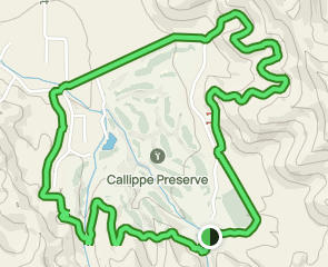 Callippe Preserve Trail Loop, California - 97 Reviews, Map | AllTrails