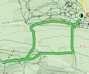 Newlands Corner and St Martha's Hill Circular: 378 Reviews, Map ...