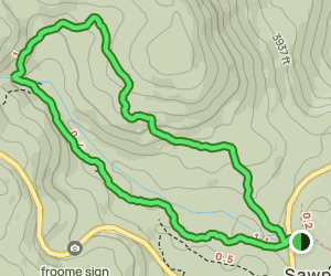 Waterfall Walking Track: 185 Reviews, Map - New South Wales, Australia ...