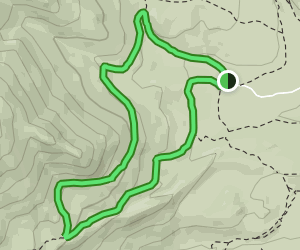 Beaver Mountain Loop: 406 Reviews, Map - Colorado | AllTrails