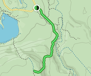 Blueberry Hill: 0 Reviews, Map - Alberta, Canada | AllTrails