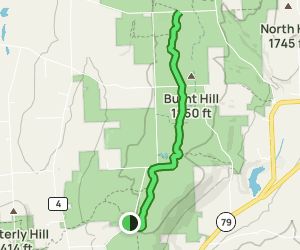 Interloken Trail to Blueberry Patch Campground: 275 foto - New York ...