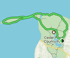 Cedar Point Lighthouse Loop Trail: 247 Reviews, Map - New York | AllTrails