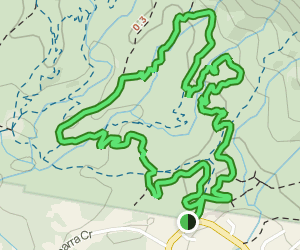 Whipbird, Wagtail and Echidna Loop: 69 fotos - Queensland, Austrália | AllTrails
