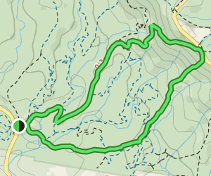 Bellbird, Kokoda, Jacksonia and Cockatoo Track : 97 Reviews, Map ...