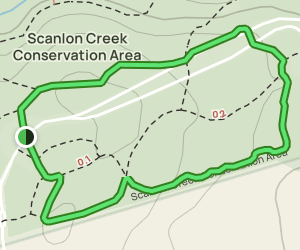 Sugar Maple Loop: 80 Reviews, Map - Ontario, Canada | AllTrails