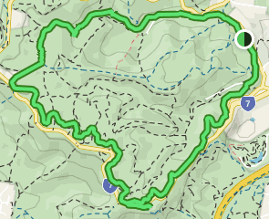 Mount Coot-tha Big Loop, Queensland, Australia - 427 Reviews, Map ...
