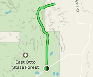 East Otto State Forest Trail: 11 Reviews, Map - New York | AllTrails