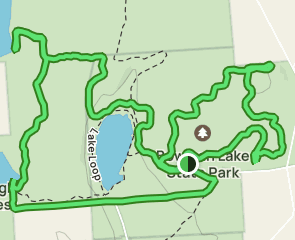 Bowman Lake Park Loop, New York - 66 Reviews, Map | AllTrails