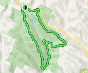 Bear Spring Mountain Loop Trail: 36 Reviews, Map - New York | AllTrails