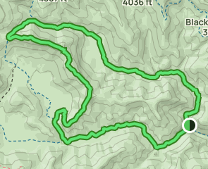 Pilot Cove Slate Rock Trail: 592 fotos - Carolina do Norte | AllTrails