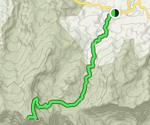 Kudremukh Trek: 5 Reviews, Map - Karnataka, India | AllTrails