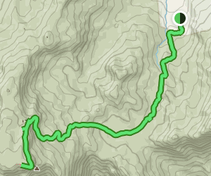 Kudremukh Trail: 15 Reviews, Map - Karnataka, India | AllTrails