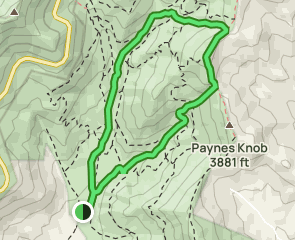 Piney Mountain Loop: 214 Reviews, Map - North Carolina | AllTrails