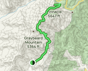Pinnacle via Graybeard Mountain Trail and Old Mitchell Toll Road, North ...
